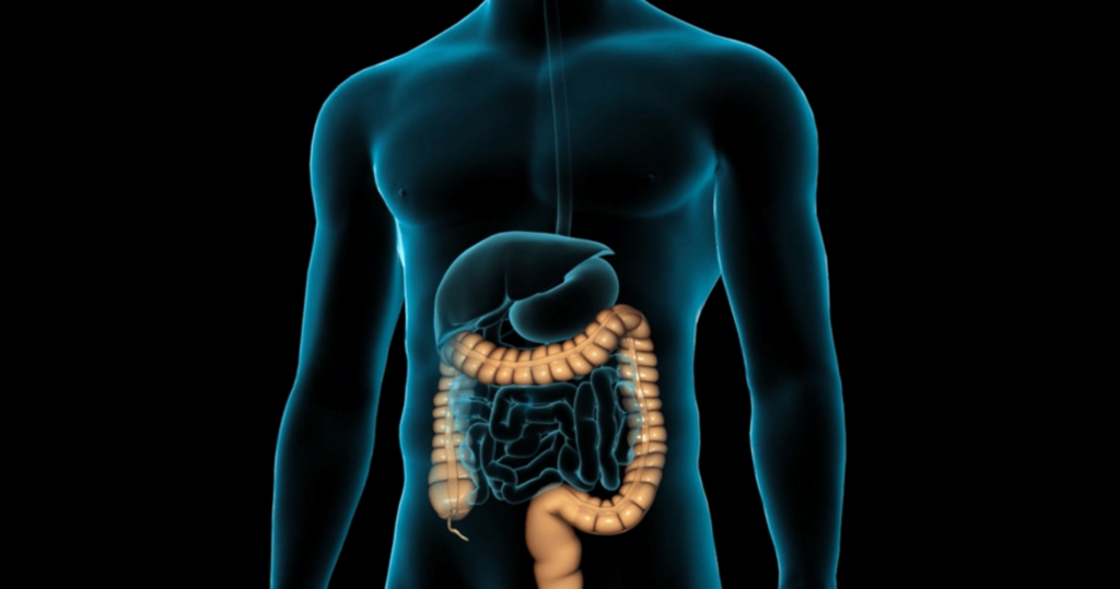 Endoscopy in Jayanagar - Dr Gaurang Ramesh